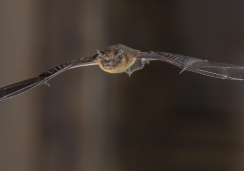 Martha Liebert Public Library | Bernalillo, New Mexico